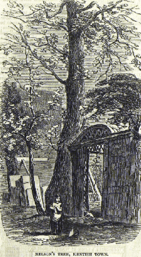 Lord Admiral Horatio Nelson | View from the Mirror