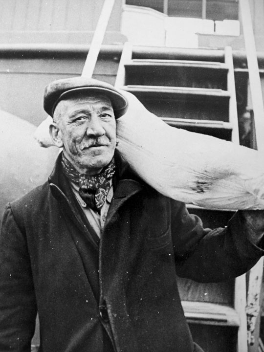 An Oral History of London’s Dock Workers | View from the Mirror